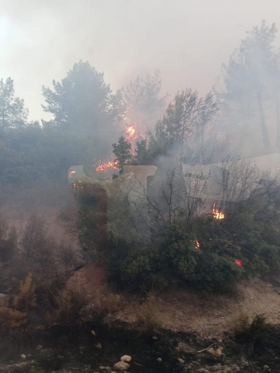 Φωτιά στη Χίο: Απεγκλωβισμοί κατοίκων από παραλίες, συνεχίζεται η μάχη με τις φλόγες [εικόνες ...